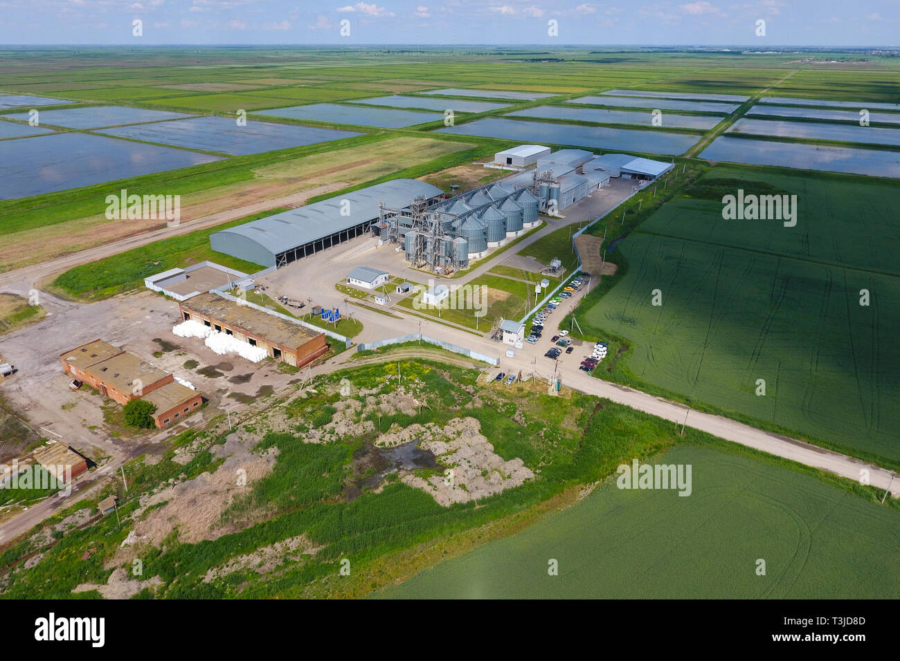Grain terminal. Plant for the drying and storage of grain. Rice plant ...