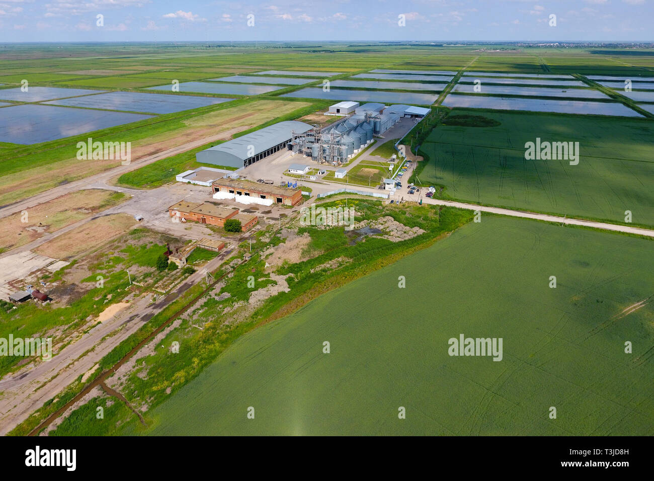 Grain terminal. Plant for the drying and storage of grain. Rice plant ...