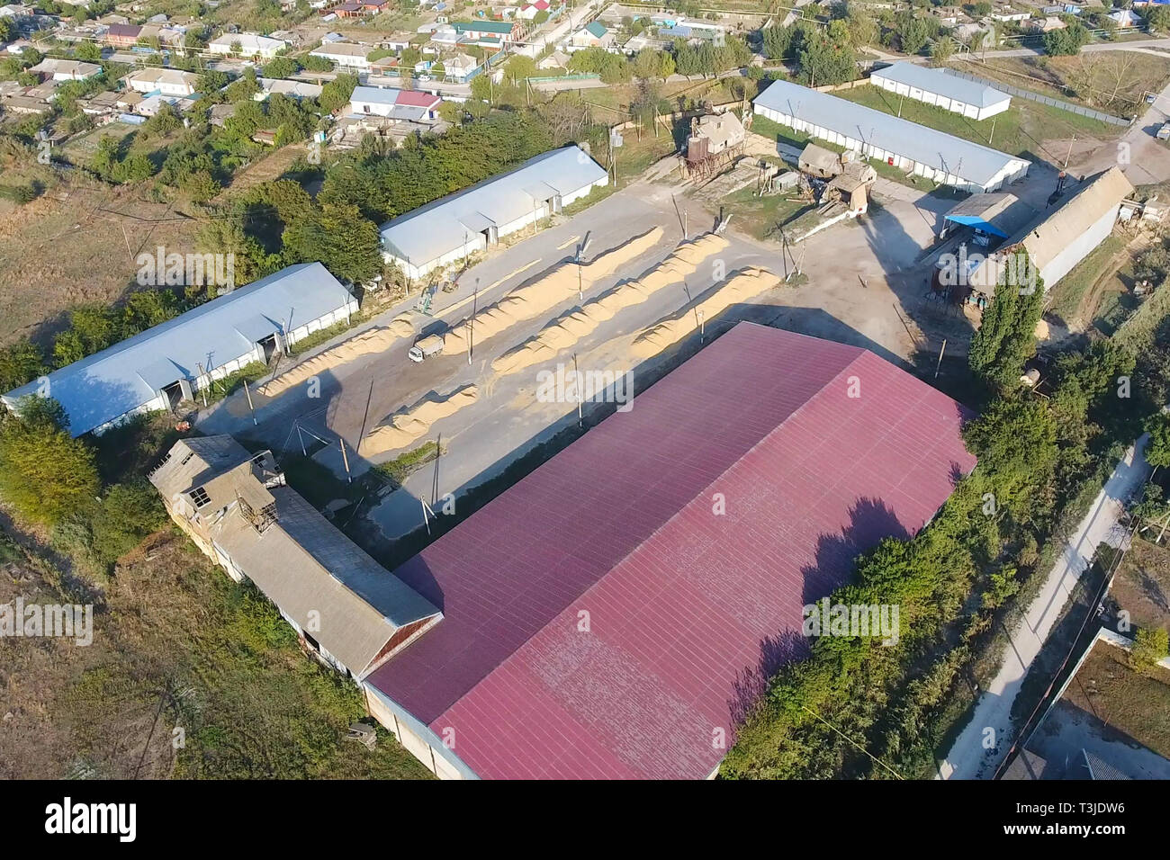 Hangar for storage of grain. A platform for drying and sintering grain ...