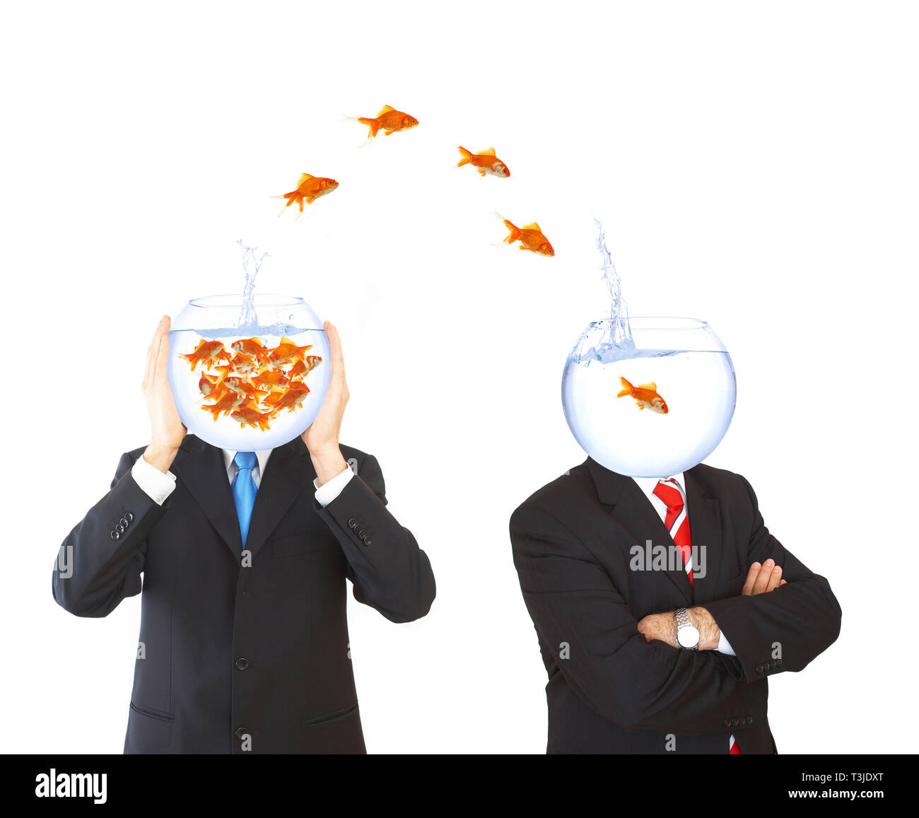 Another flying fish hi-res stock photography and images - Alamy