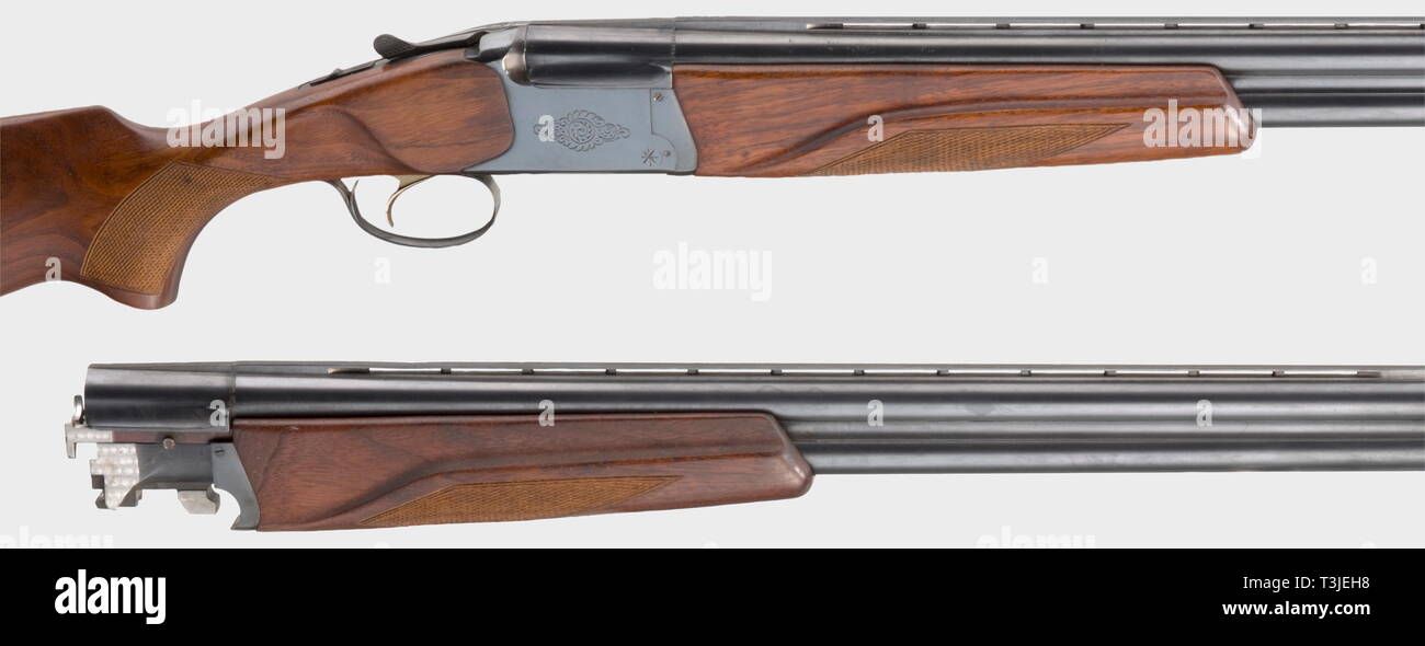 Civil long arms, modern systems, over and under shotgun with changeable ...