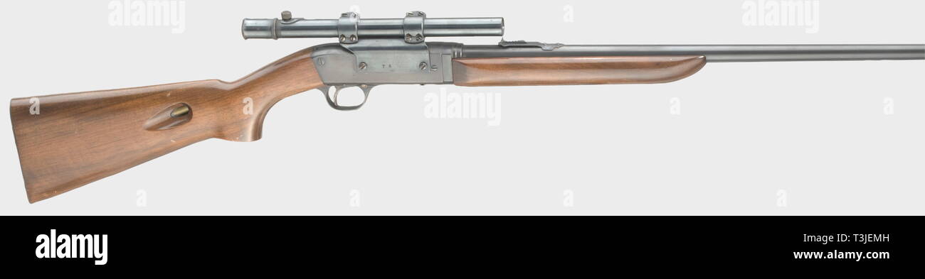Civil long arms, modern systems, small-bore automatic rifle Remington ...