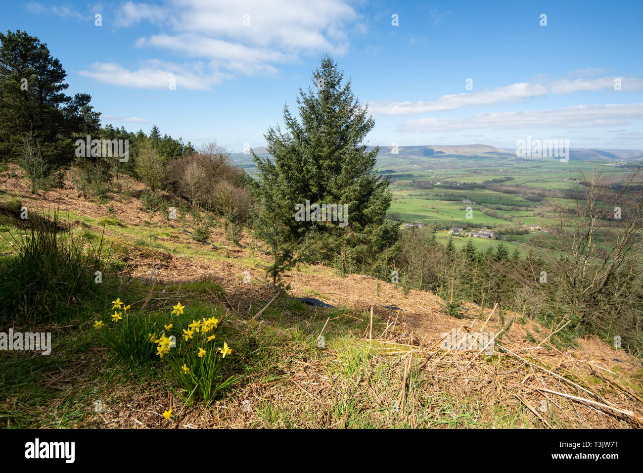 Longridge england hi-res stock photography and images - Alamy