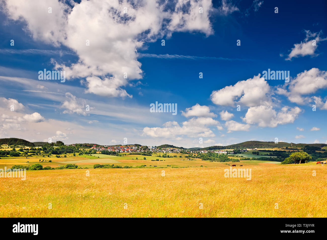 German countryside at summer Stock Photo - Alamy