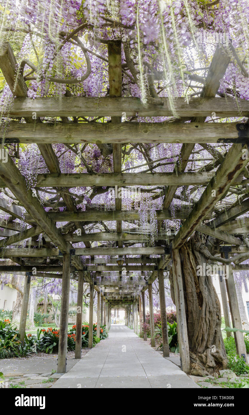 Garden tunnel hi-res stock photography and images - Alamy