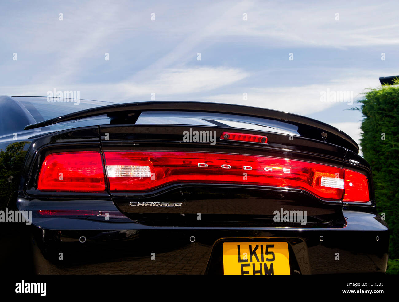 Car sheriff badge hi-res stock photography and images - Alamy