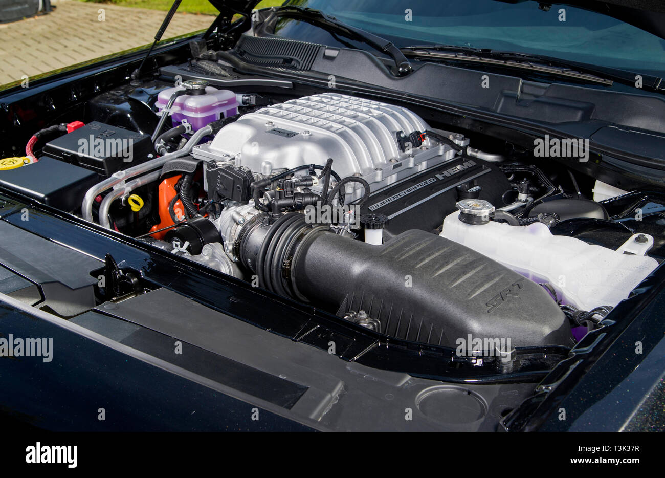 2015 Dodge Challenger Hellcat SRT - modern American muscle car Stock ...