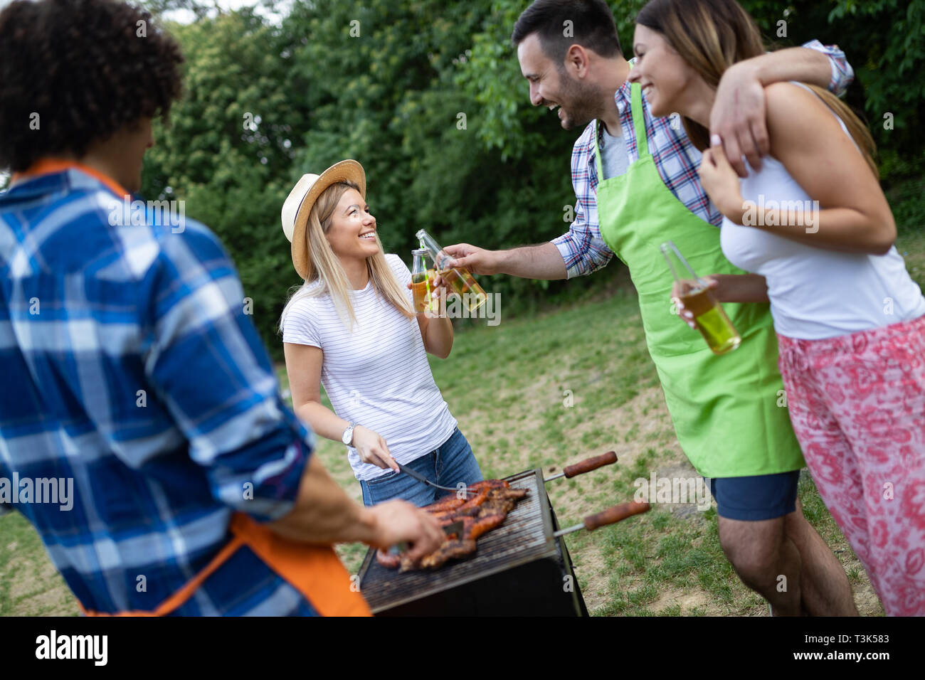 Barbecue party chicken hi-res stock photography and images - Alamy