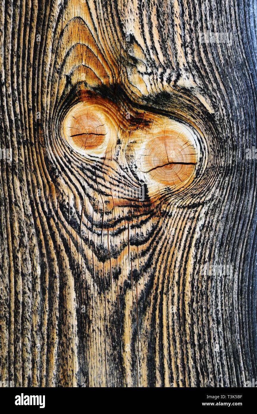 Wood shots hi-res stock photography and images - Alamy