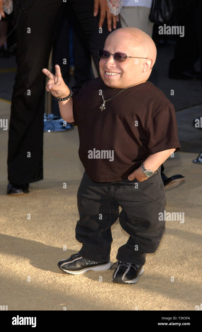 LOS ANGELES, CA. July 22, 2002: Actor VERNE TROYER at the Hollywood ...