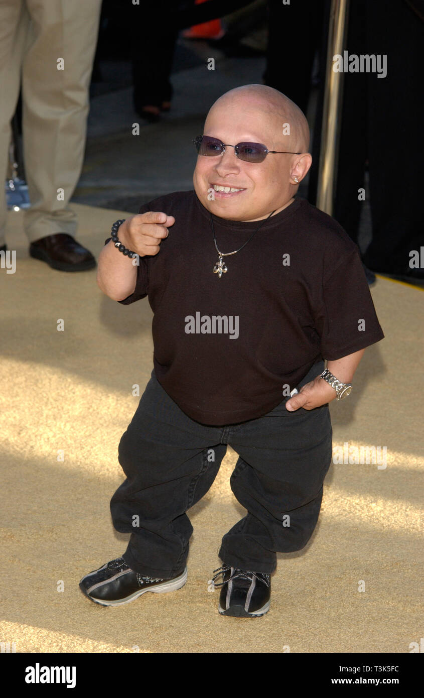 LOS ANGELES, CA. July 22, 2002: Actor VERNE TROYER at the Hollywood ...