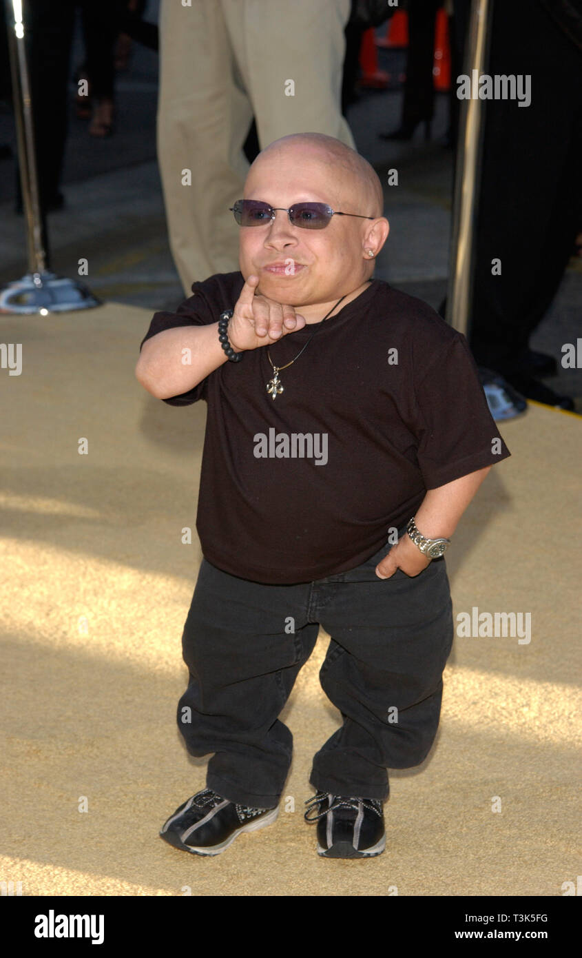 LOS ANGELES, CA. July 22, 2002: Actor VERNE TROYER at the Hollywood ...