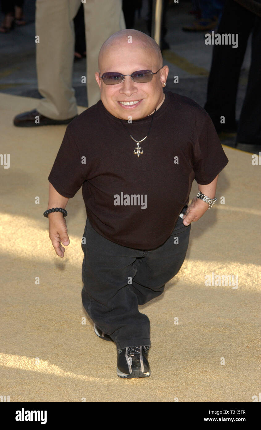 LOS ANGELES, CA. July 22, 2002: Actor VERNE TROYER at the Hollywood ...