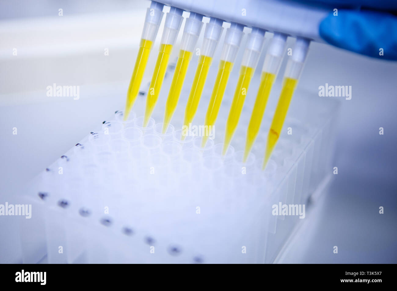 Transparent test tubes in the laboratory with a yellow liquid Stock ...
