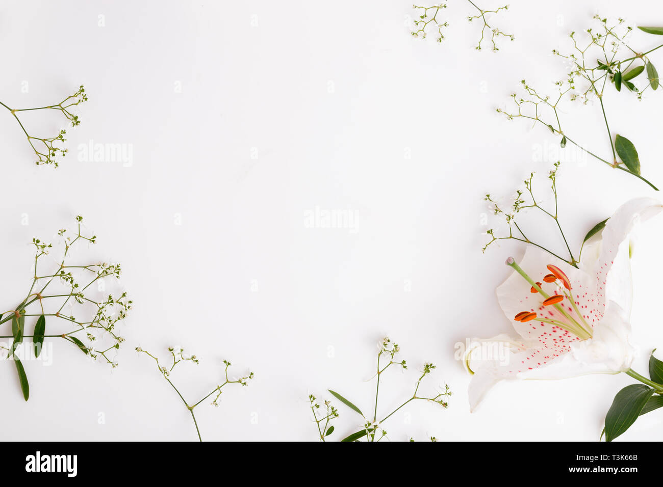 A bouquet of coral flowers on white boards Stock Photo - Alamy
