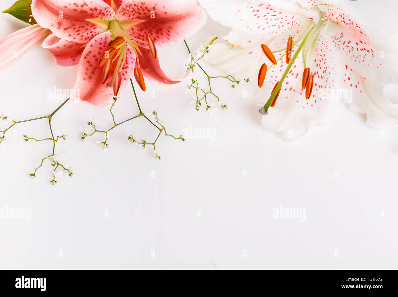 A bouquet of coral flowers on white boards Stock Photo - Alamy