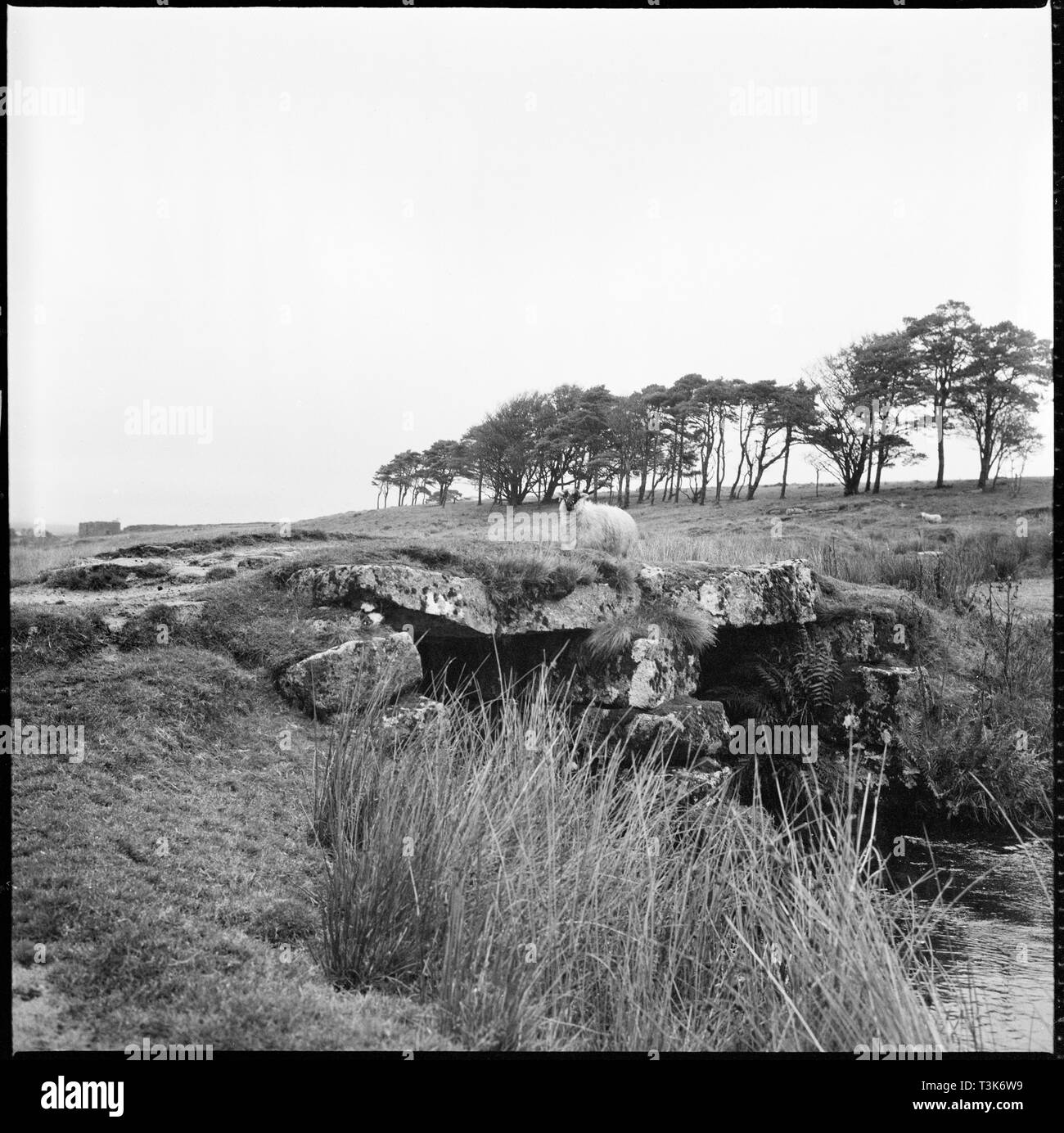 Powder Mills Clapper Bridge, Dartmoor, Devon, 1967. Creator: Eileen ...