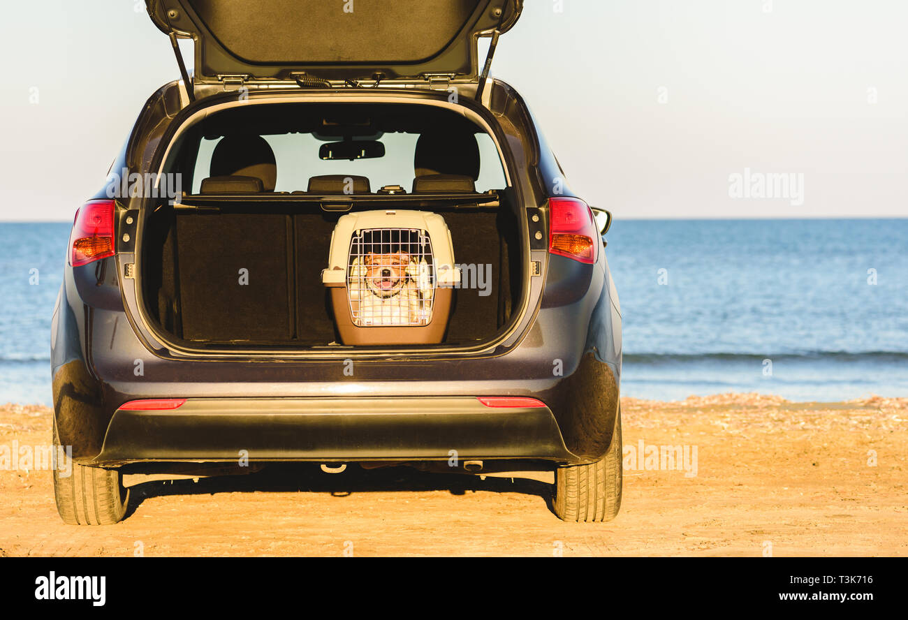 Dog crate car hi-res stock photography and images - Alamy