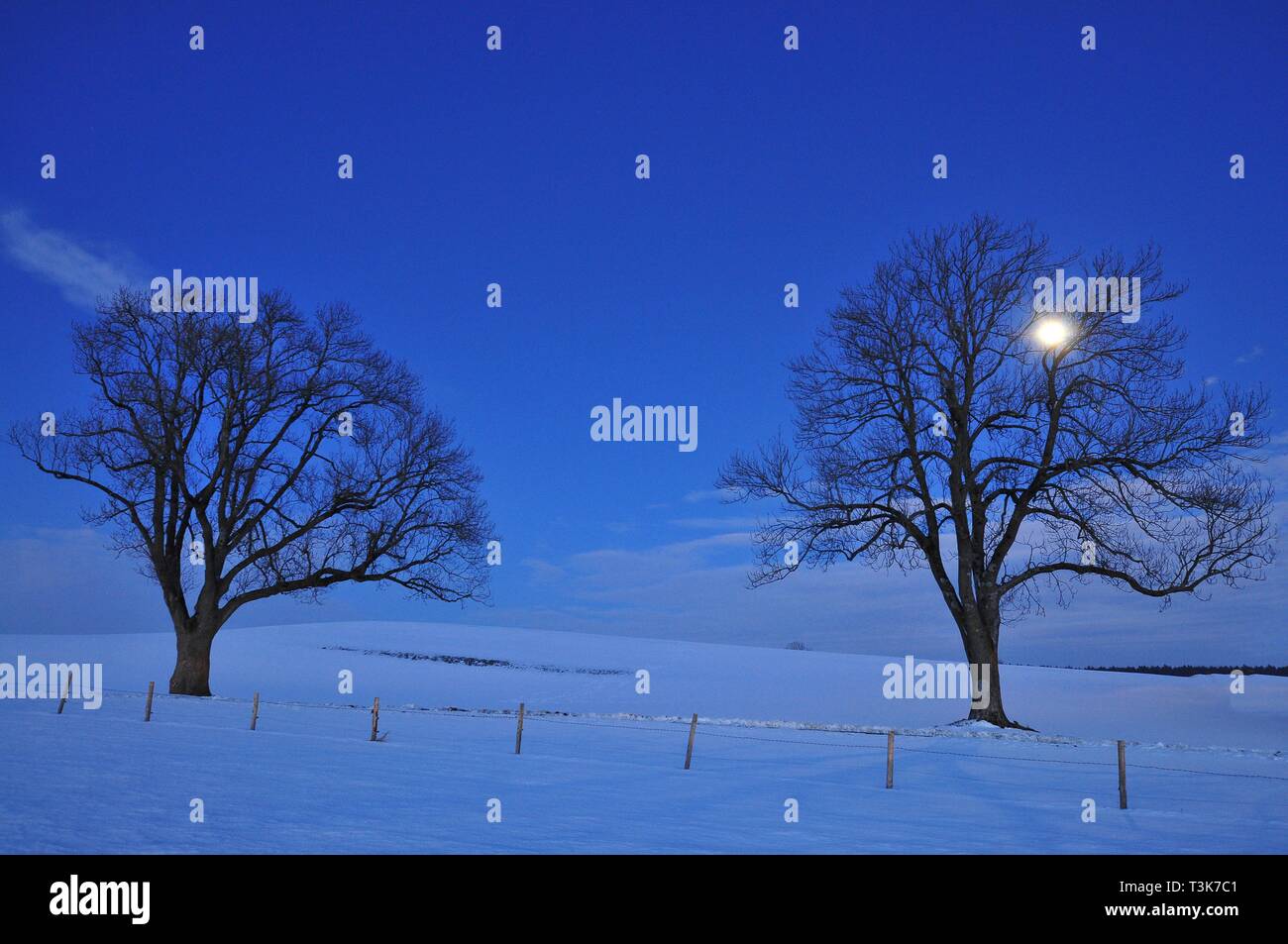 Full moon landscape trees hi-res stock photography and images - Alamy
