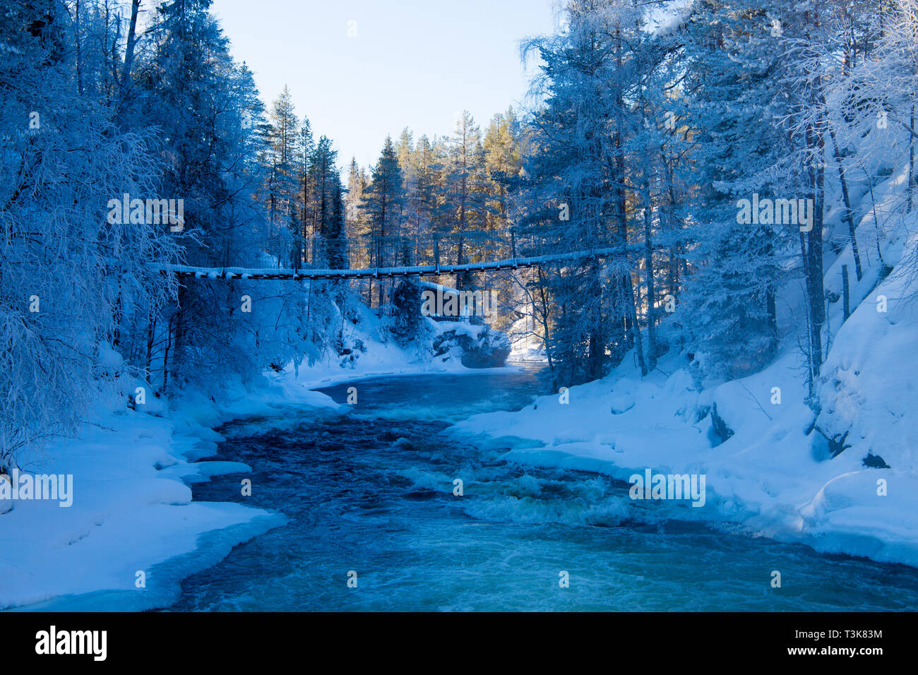 Suspension bridge over river surrounded by snow covered trees, Oulanks ...