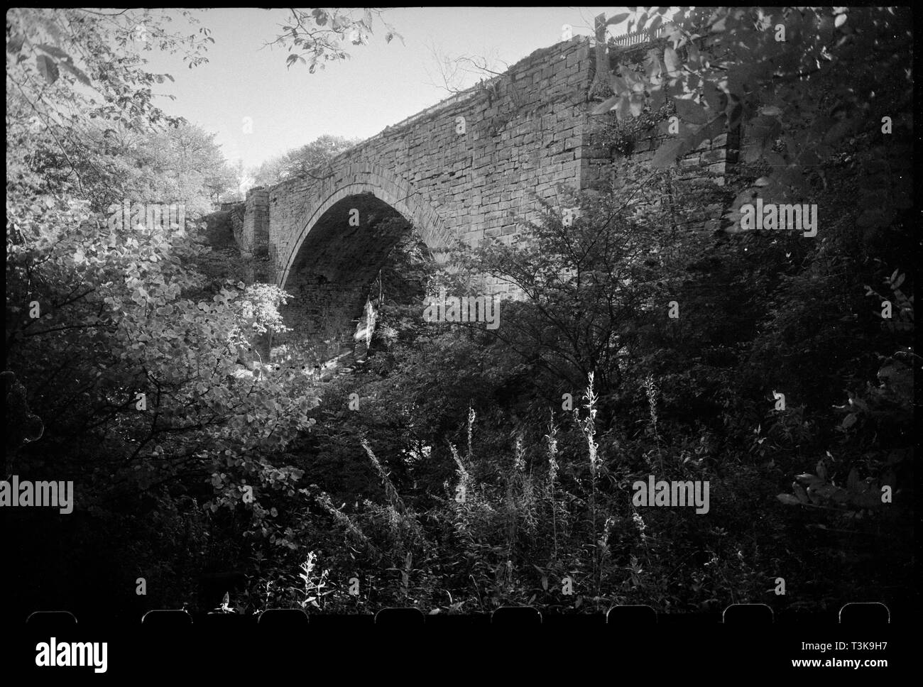 Causey Arch High Resolution Stock Photography and Images - Alamy