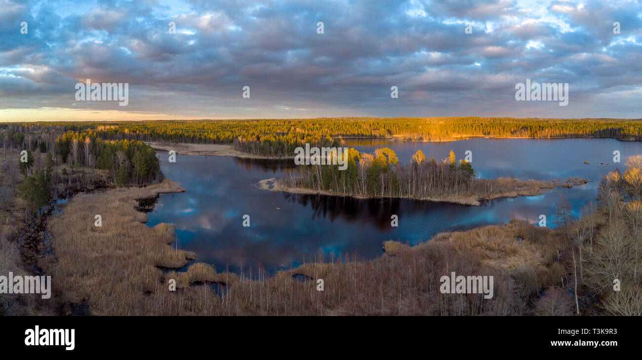 Forested landscape close to sunset. The sunlight is in a low angle ...