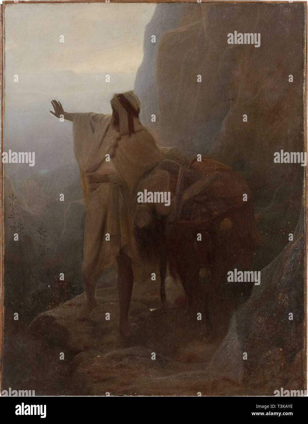 Charles 1830 1882 hi-res stock photography and images - Alamy