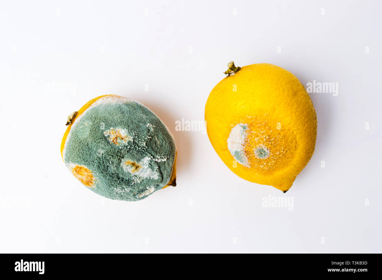 Green mold on lemon fruit hi-res stock photography and images - Alamy