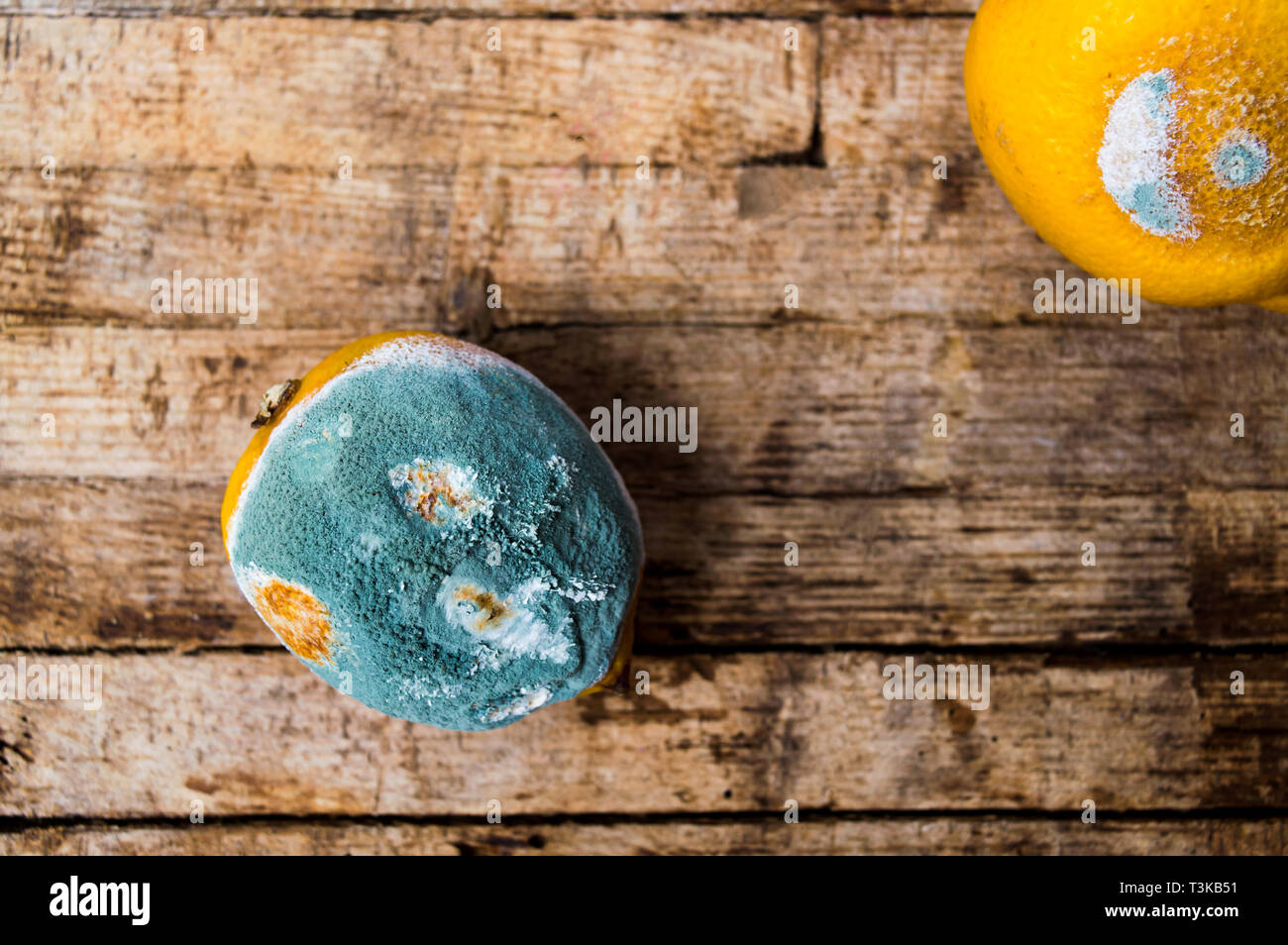 Green mold on lemon fruit hi-res stock photography and images - Alamy