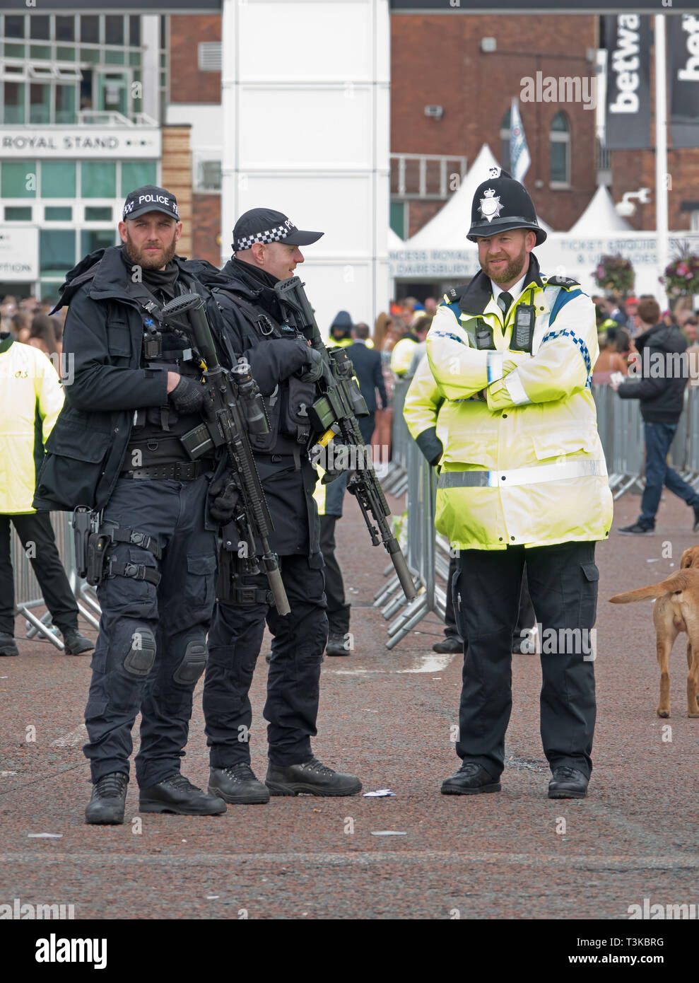 Armed Police Uk Stock Photos & Armed Police Uk Stock Images - Alamy