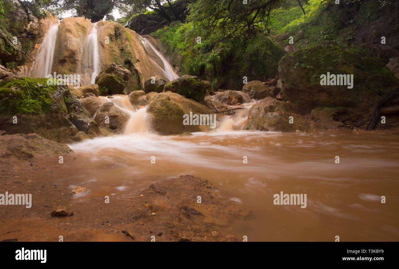 Nahal Parod (Parod stream or Parod river) is a nature reserve in the ...