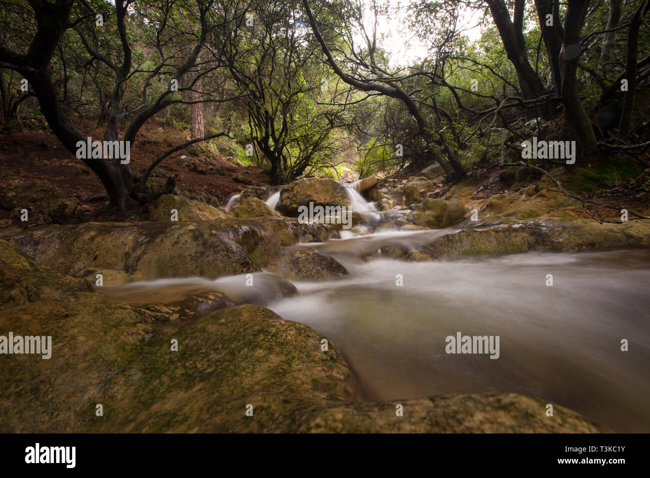 Hike israel hi-res stock photography and images - Alamy