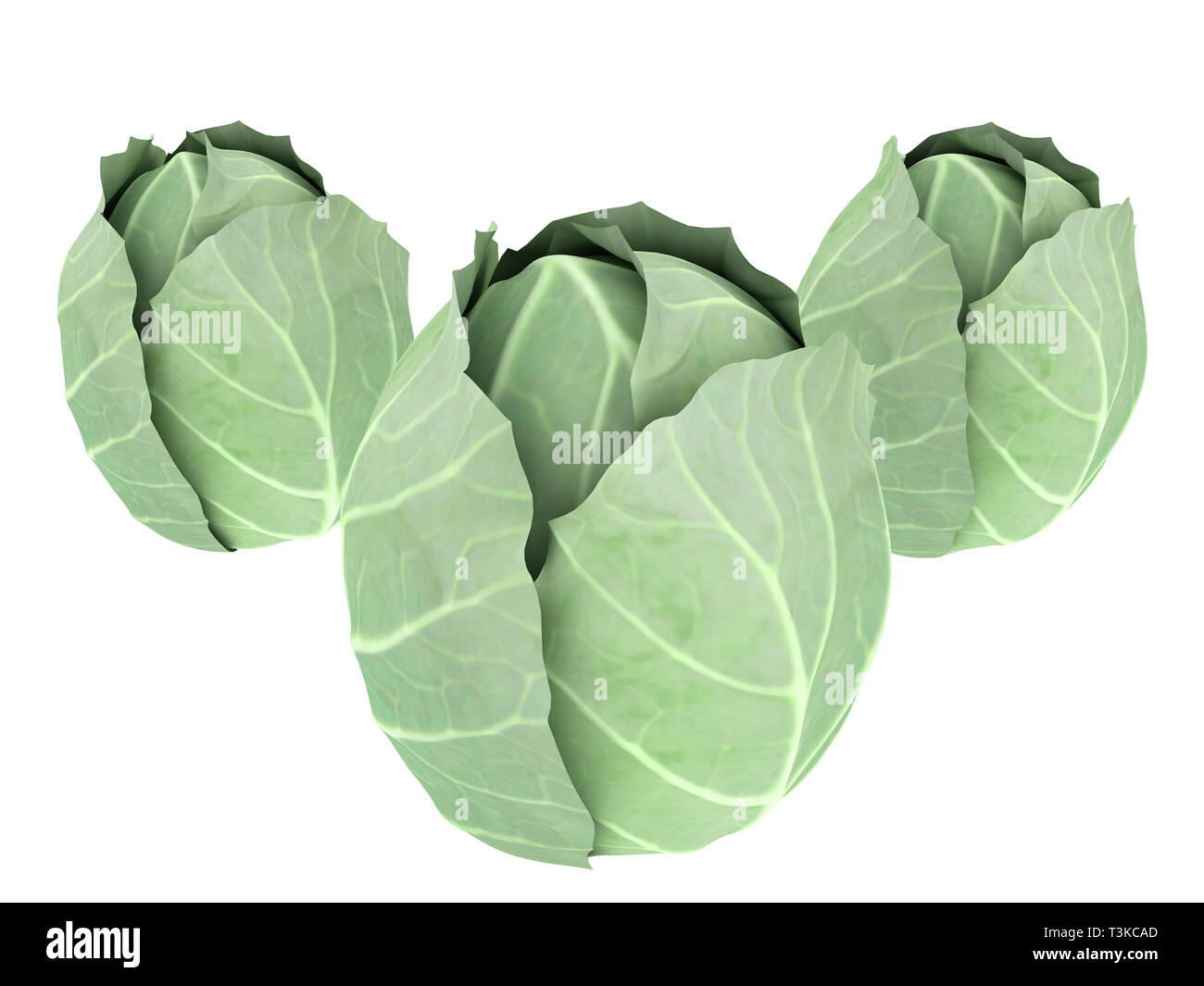 green cabbage isolated on white background. 3d illustration Stock Photo ...