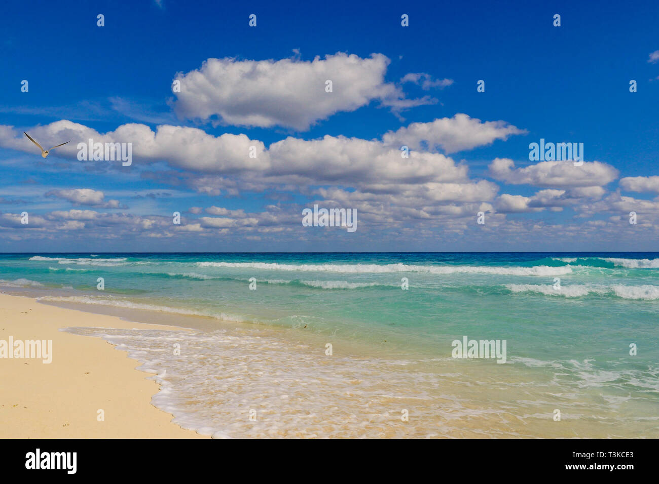 Cancun beach Mexico, ocean, vacation, caribbean, tropical Stock Photo ...