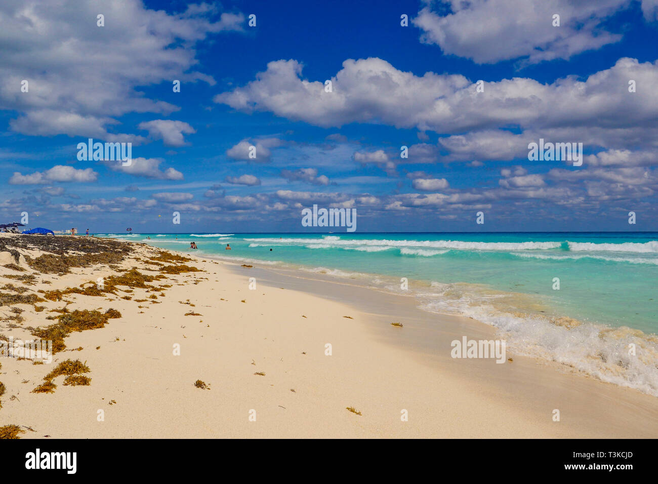 Cancun beach Mexico, ocean, vacation, caribbean, tropical Stock Photo ...
