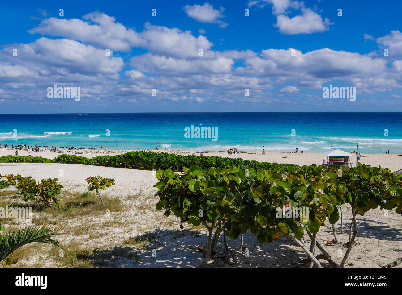 Cancun beach Mexico, ocean, vacation, caribbean, tropical Stock Photo ...