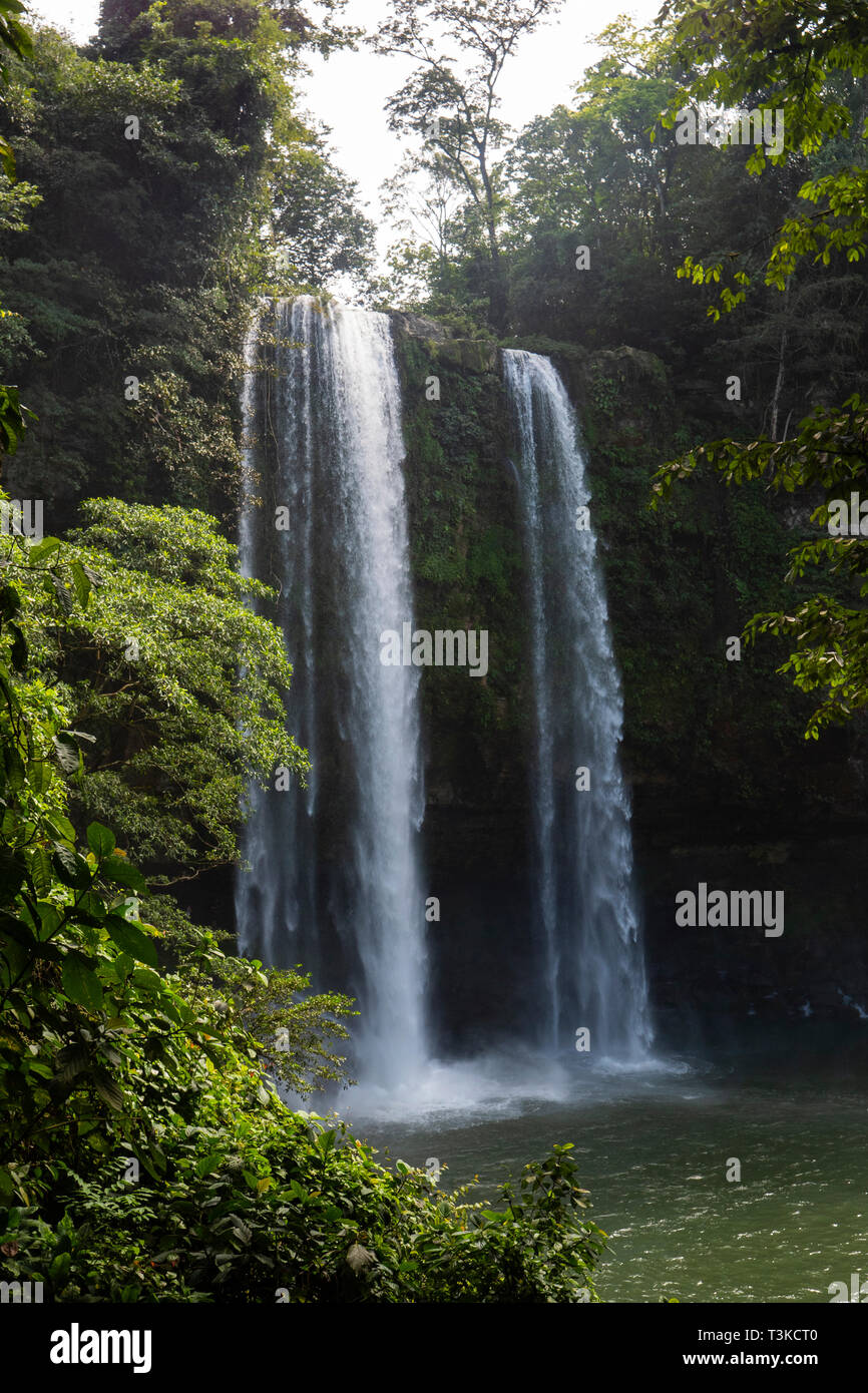 Waterfall Misol-ha in Mexico, cascade Stock Photo - Alamy