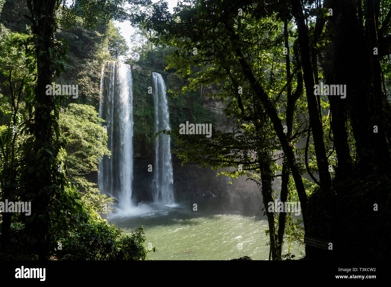 Waterfall Misol-ha in Mexico, cascade Stock Photo - Alamy