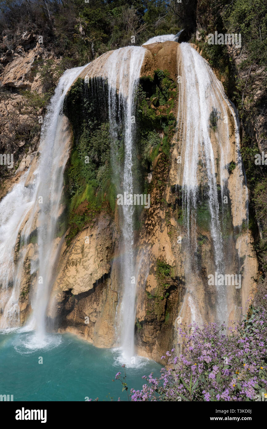 Cascade of El Chiflon, Chiapas, Mexico, waterfall Stock Photo - Alamy