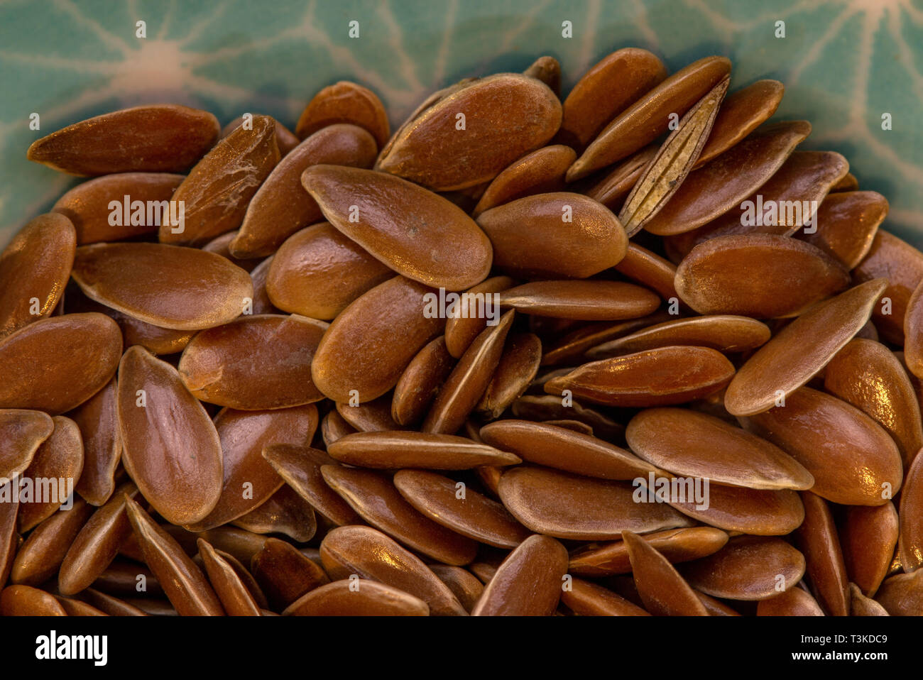 Flax seed plants hi-res stock photography and images - Alamy
