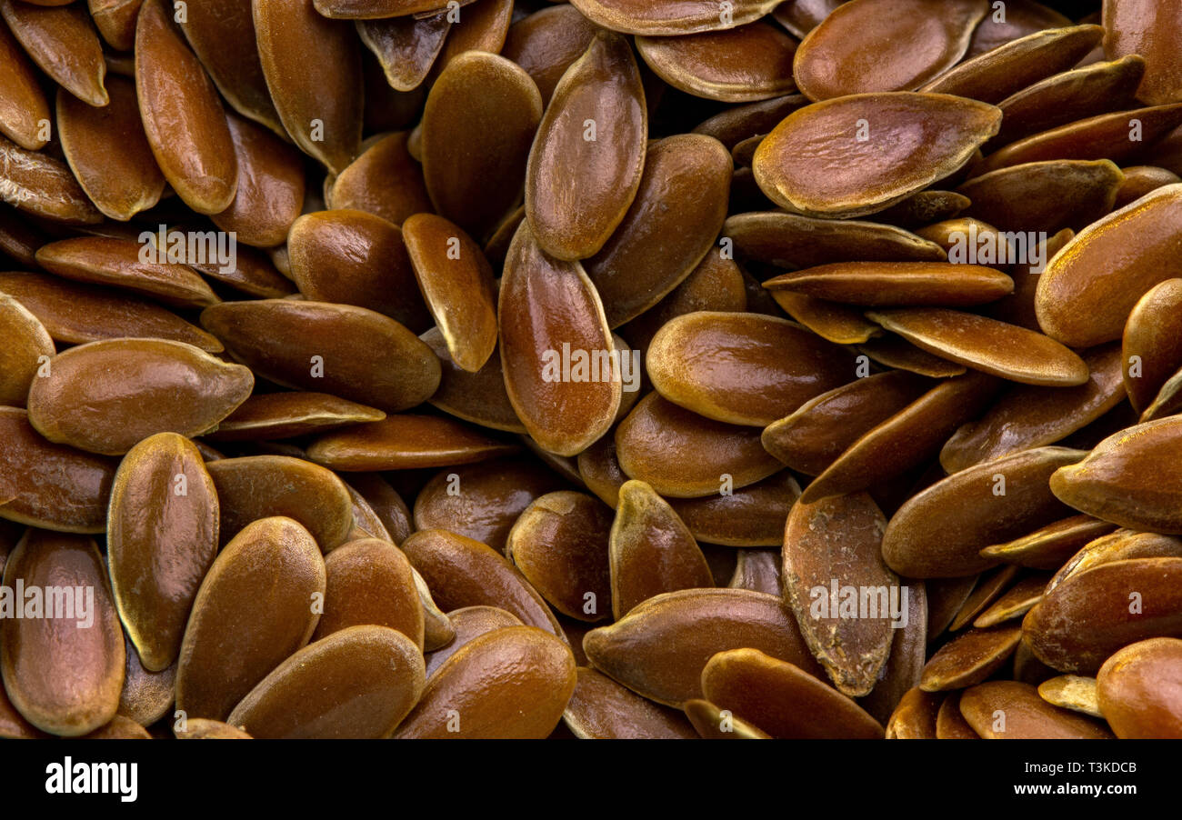 linseed flax seed detail, healthy herbs naturopathy Stock Photo - Alamy