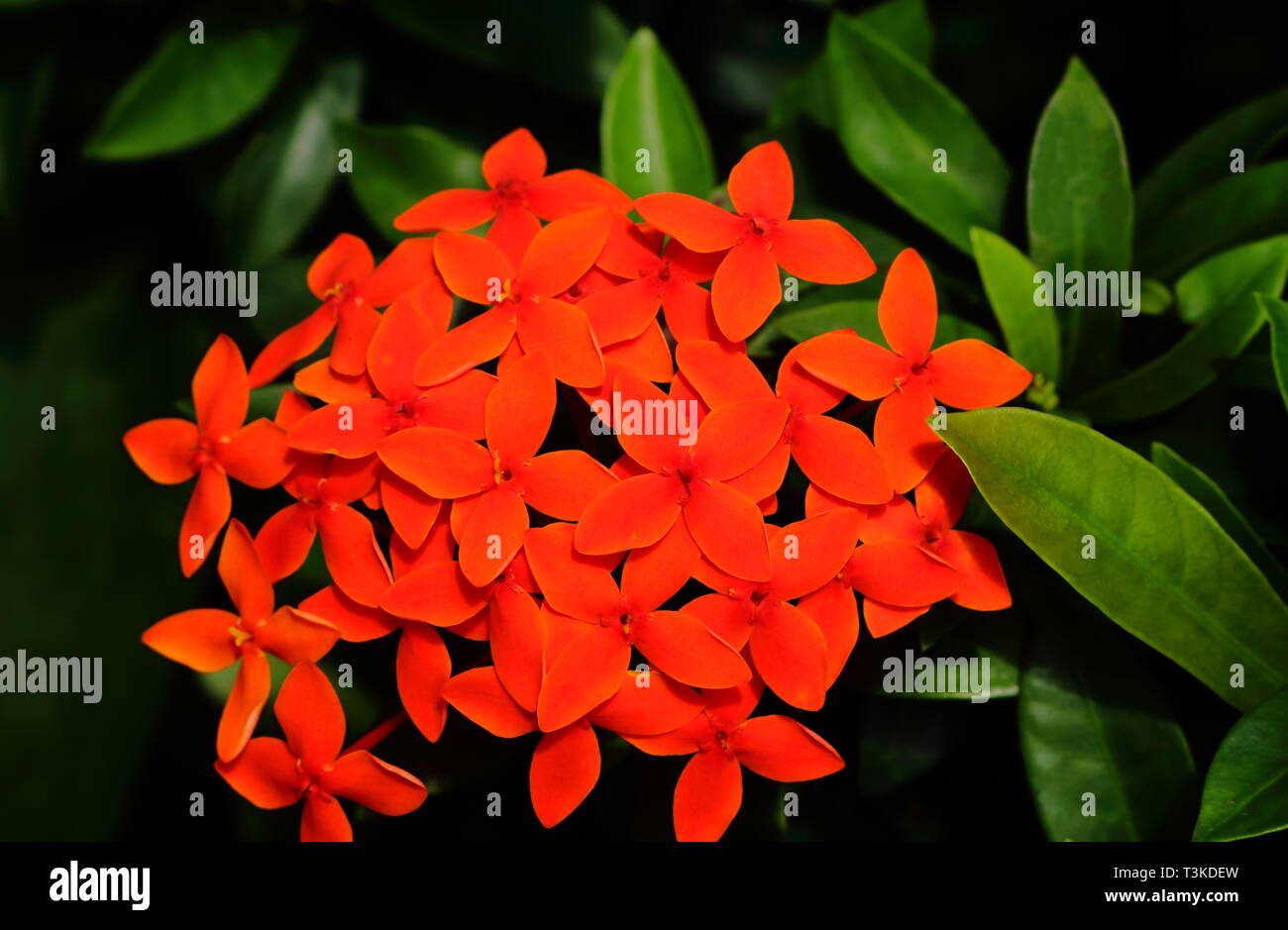 We grow up Stock Photo - Alamy