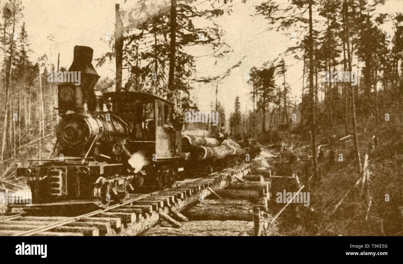'A Logging Railway, British Coumbia', 1930. Creator: ENA Stock Photo ...