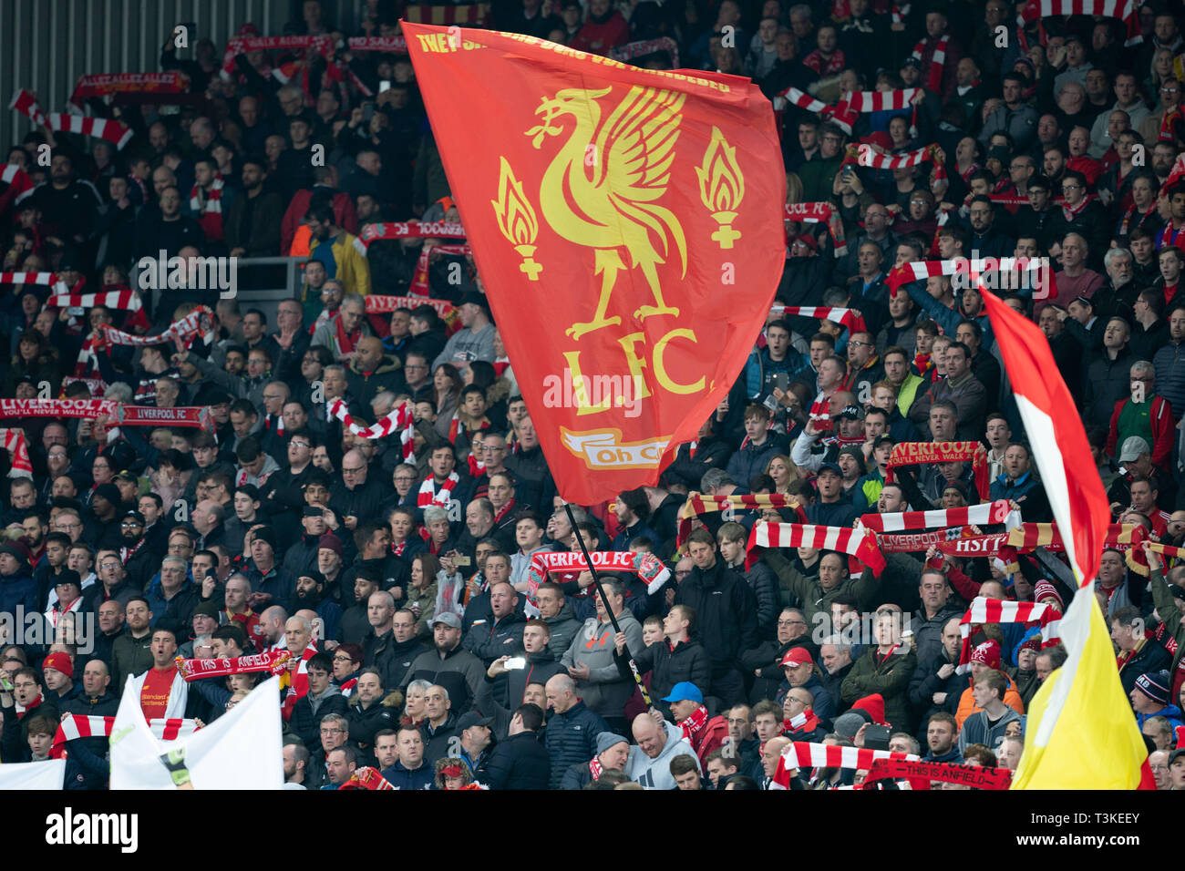 Leg Flags Stock Photos & Leg Flags Stock Images - Alamy