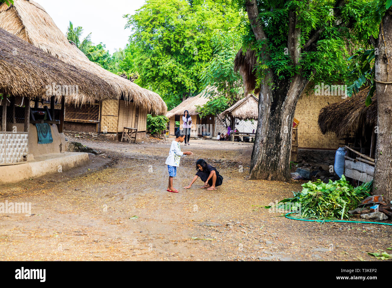 The Sasak Village Ende in Lombok, Indonesia, Asia Stock Photo - Alamy