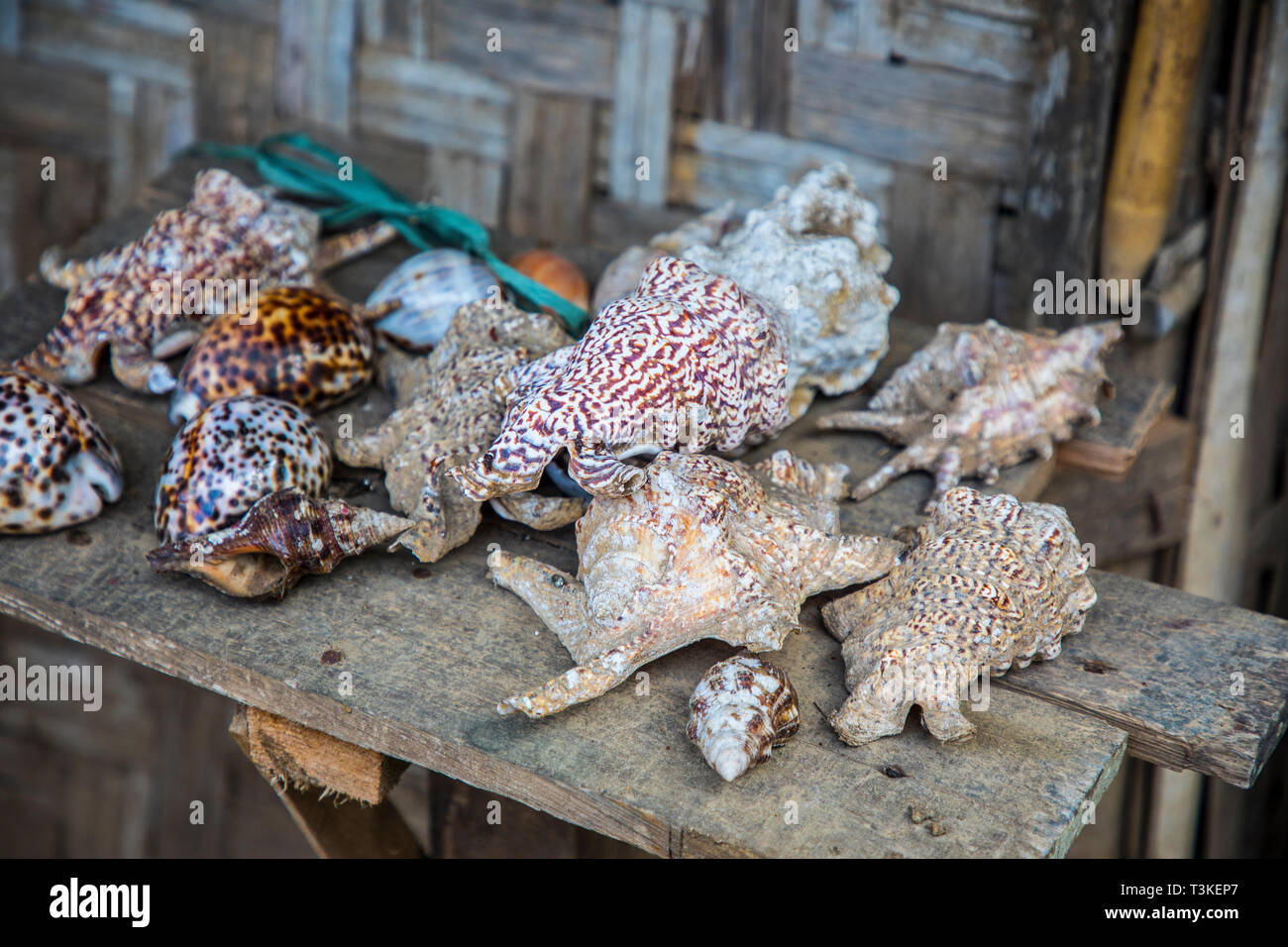 The Sasak Village Ende in Lombok, Indonesia, Asia Stock Photo - Alamy