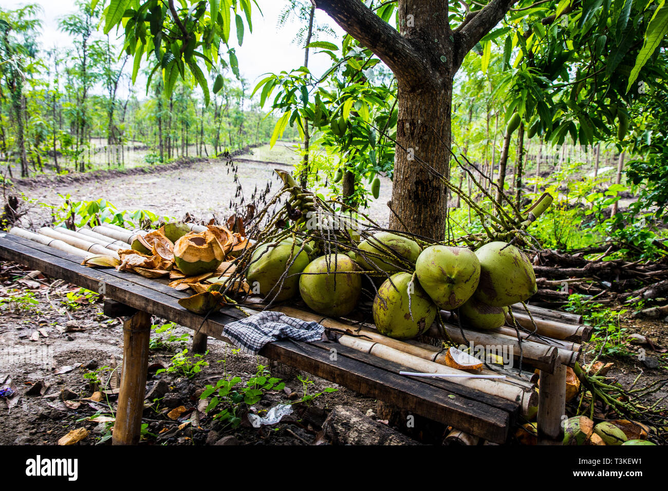 The Sasak Village Ende in Lombok, Indonesia, Asia Stock Photo - Alamy