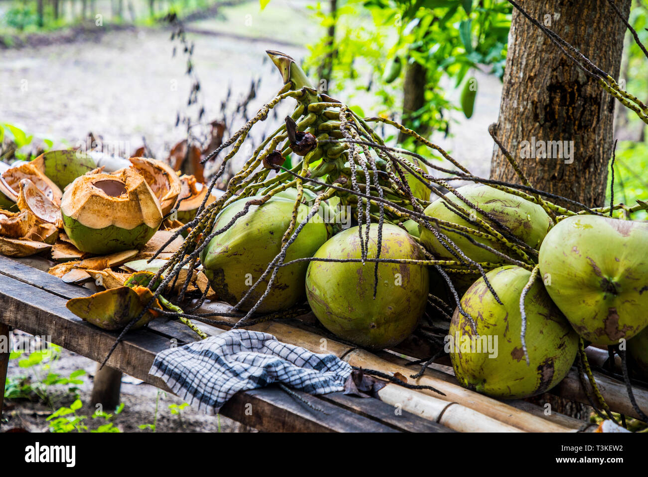 The Sasak Village Ende in Lombok, Indonesia, Asia Stock Photo - Alamy