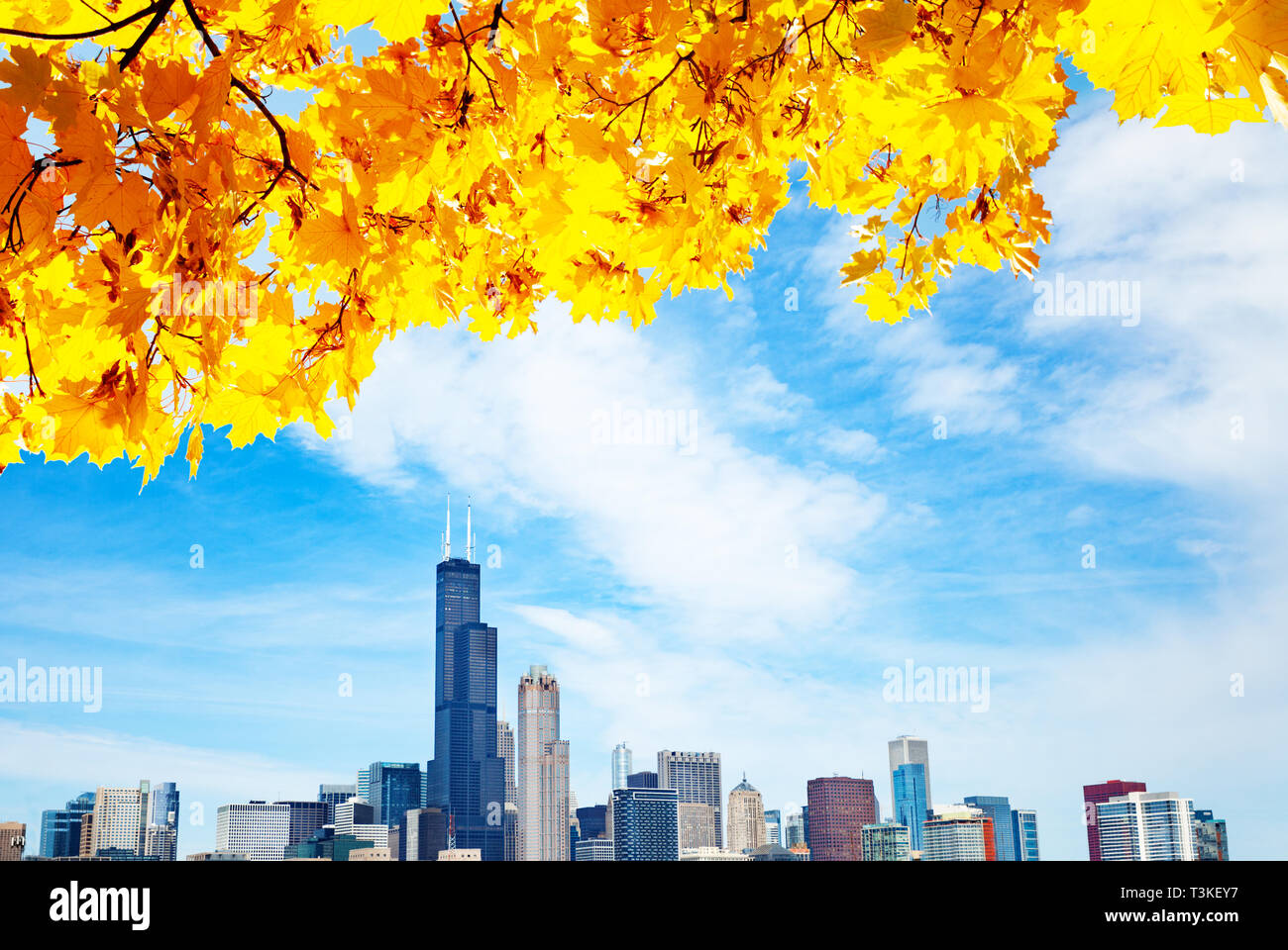 Autumn leaves and City of Chicago waterfront lake skyline, Illinois ...