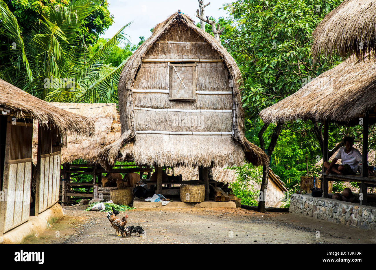 The Sasak Village Ende in Lombok, Indonesia, Asia Stock Photo - Alamy